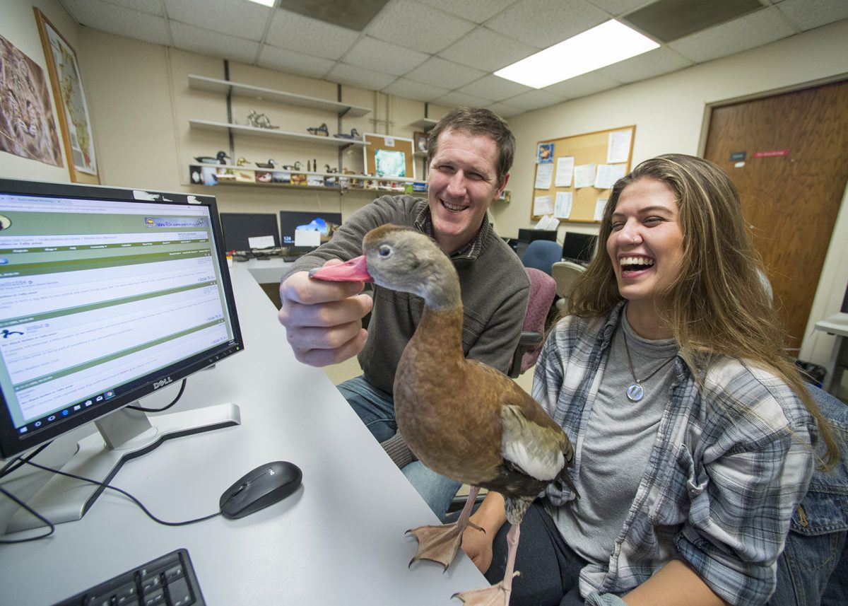Student using citizen science to track duck’s expansion - This Is SIU