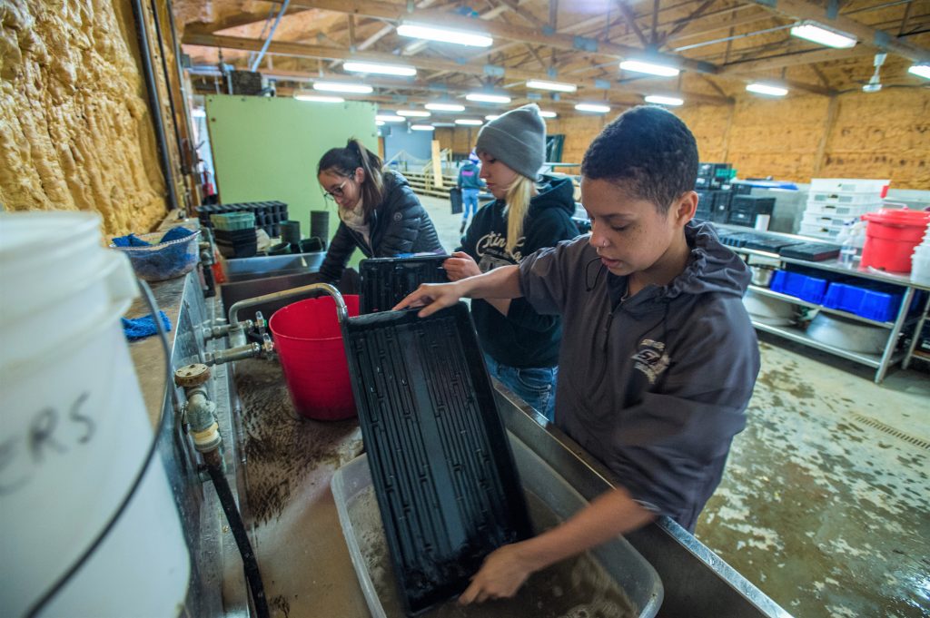 SIU’S Motorcycle Rider Program celebrates 50 years of helping bikers ...
