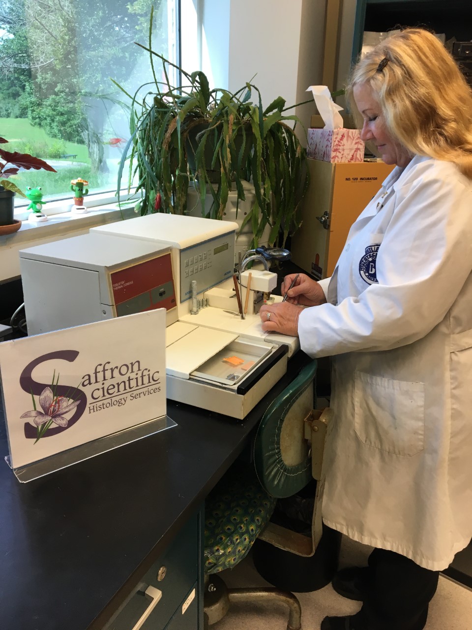 SIU’s Business Incubator Programs hatch successful businesses - This Is SIU