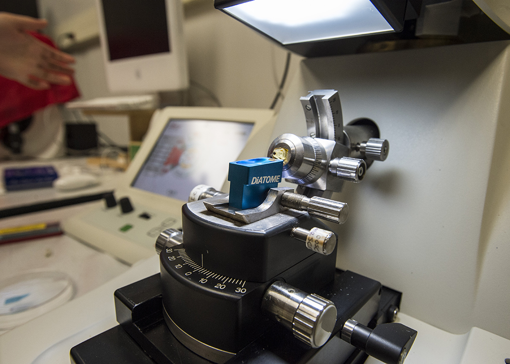 High-end, high-tech scientific instruments anchor the past, present and ...