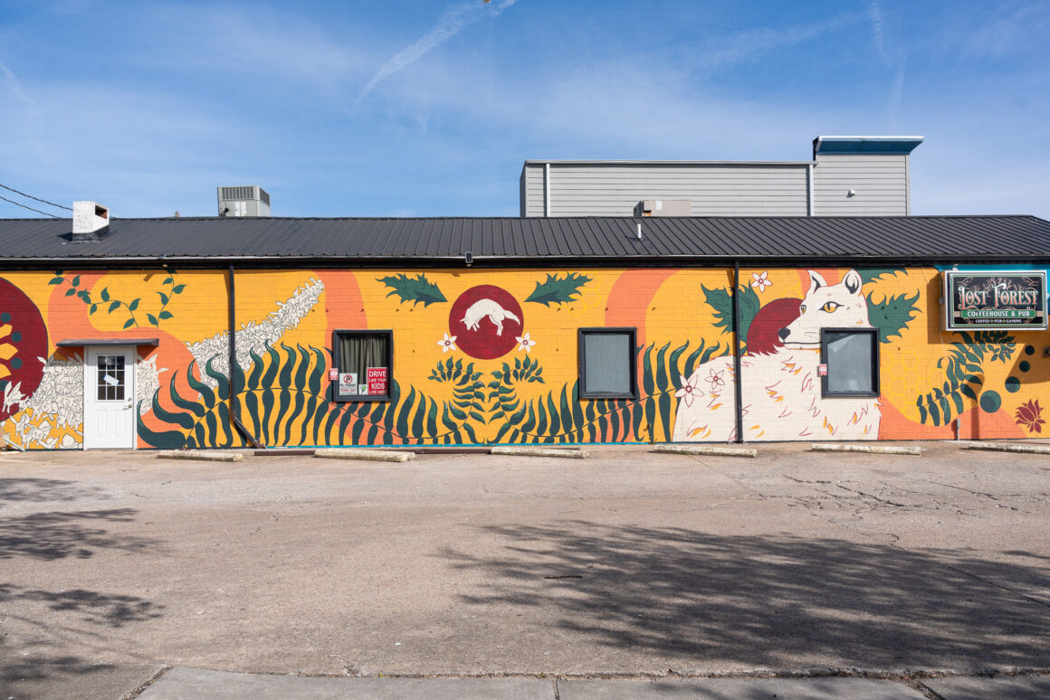 Carbondale on Display: Our Guide to Local Murals - This Is SIU
